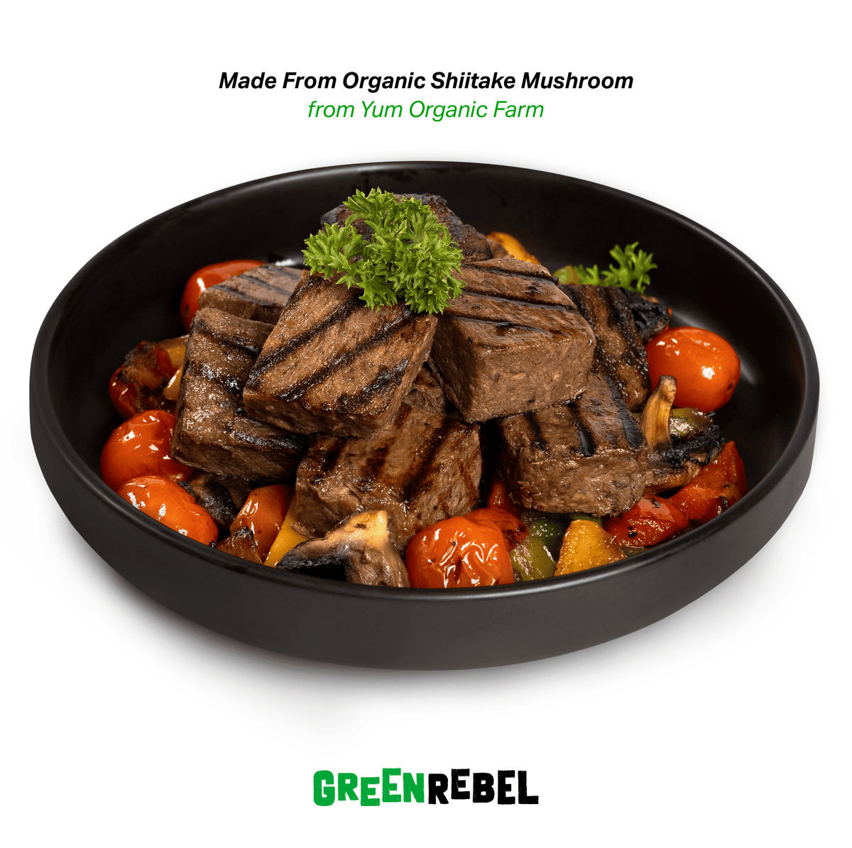 Plant Based Family Pack Trio – Green Rebel Foods